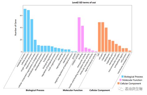 分享17个实用的在线生信小工具！ 分析 Com