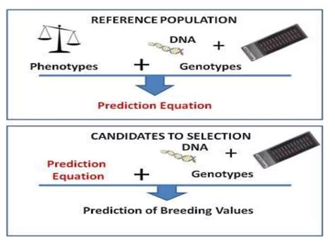Genomic Selection Pptx