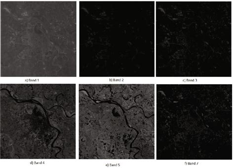 Six Types Of Land Covers Download Scientific Diagram