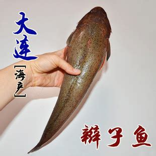 渤海湾能钓到什么鱼 渤海湾钓鲈鱼 渤海钓鱼都有什么鱼 大山谷图库