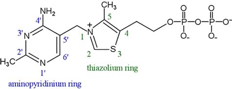 Chem 440 Thiamine Pyrophosphate