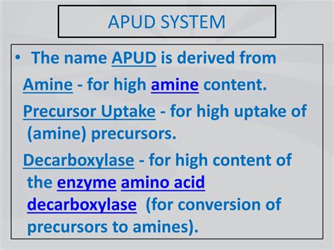 Ppt Diffusse Neuroendocrine Systdnes Or Apud Syst Or Chromaffin