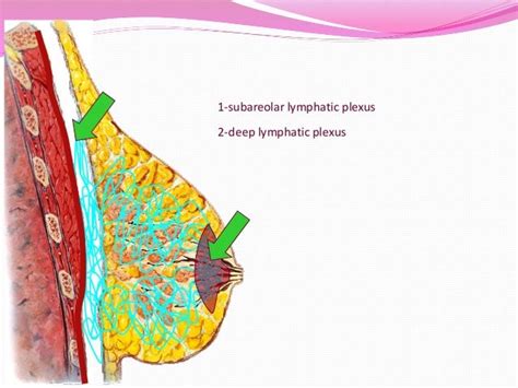 Breast Cancer