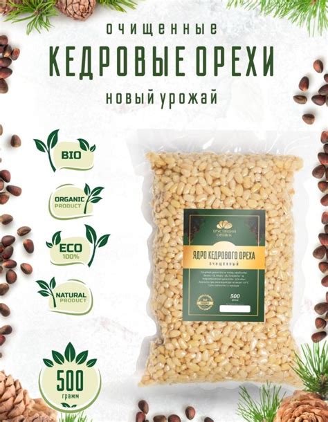 Кедровые орехи «Хрустящий орешек 500 грамм «Шикарные кедровые орешки отзывы