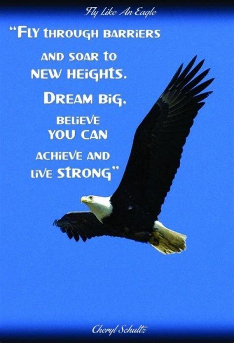 Achieve New Heights With Flying Through Barriers Eagle Soaring High