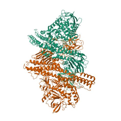 Rcsb Pdb 8byp Botulinum Neurotoxin Serotype X In Complex With Ntnh X