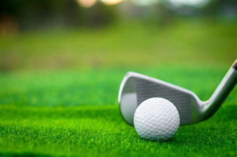 골프 공은 골프 배경의 흐릿한 아름다운 풍경에 티 잔디에 닫힙니다 건강 완화를위한 정밀 기술에 의존하는 개념 국제 스포츠 0명에 대한 스톡 사진 및 기타 이미지 Istock