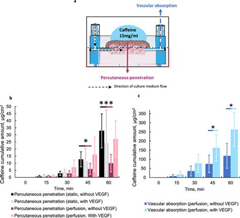 Assessment Of The Barrier Function Of Fabricated Full Thickness Human Download Scientific