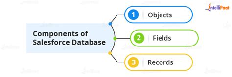 the salesforce database explained intellipaat