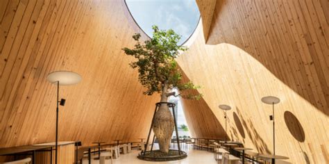 Branching Out 5 A Award Winning Projects Featuring Forest Inspired Design Architizer Journal