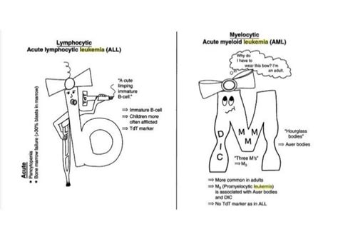 Leukemia Visual Mnemonics