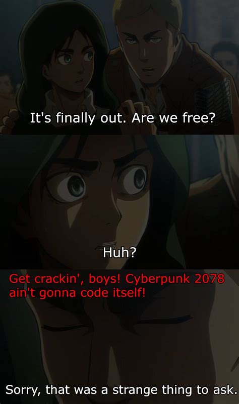 Daily Erwin Meme 1043 Scrolller