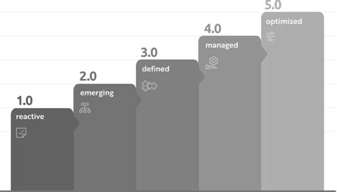 It Maturity Model For Modern Enterprises
