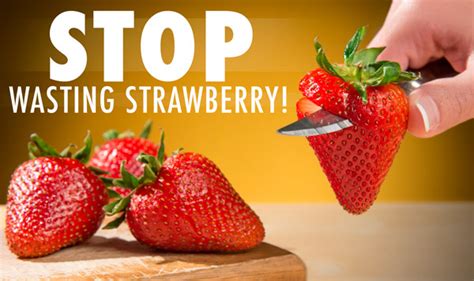 Stem Gem Efficient Strawberry Huller