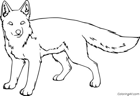 20 Realistic Fox Coloring Pages Free Printable