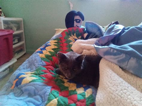 My Cesar Plush With My Cat Part 3 By Calamityanddingus On Deviantart