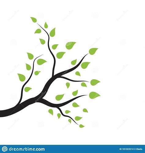 Tree Branch Vector Ilustration Design Stock Vector Illustration Of Tree Branch Vector Ilustration Design Stock Vector Illustration Of