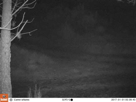 Camra Trapping Detection Object Detection Dataset And Pre Trained Model By Nova Tese