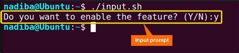 How To Use Flags In Bash If Condition With Example Linuxsimply
