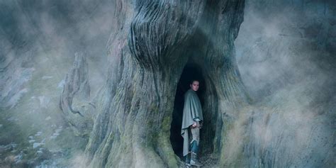 Tales Of The Jedi What Is The Tree In The Jedi Temple
