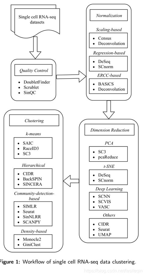 文献翻译 review of single cell rna seq data clustering for cell type