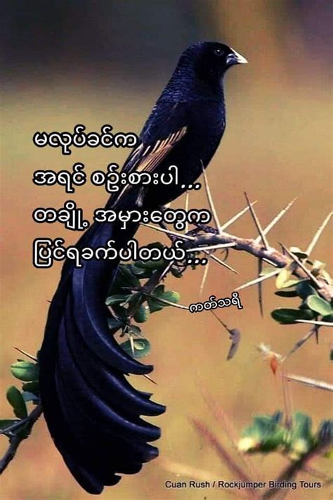 ရသစာေပ မကင်းသော်လည်း ကောင်းအောင်နေ