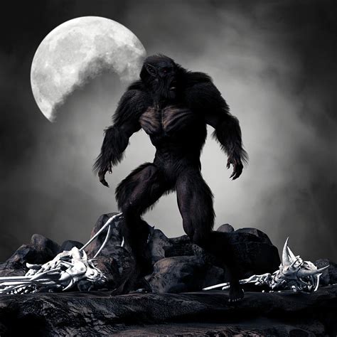 Fantasy Werewolf Art