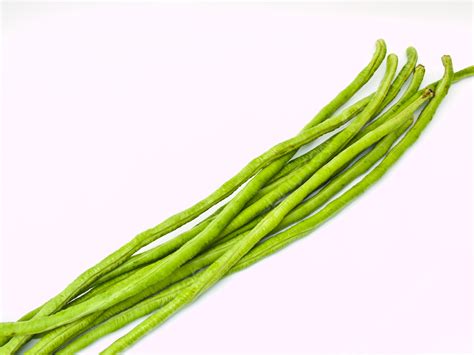 碼長豆 Vigna Unguiculata Subsp Sesquipedalis 分離植物粉熱帶 照片圖桌布圖片免費下載 Pngtree