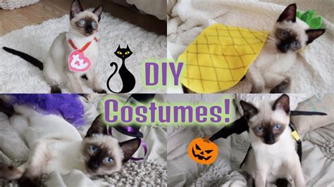 Diy Cat Halloween Costume
