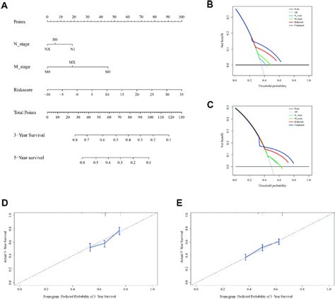 nomogram calibration and dca curves in the validation cohort a