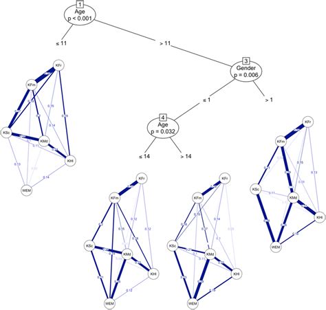 Network Model Tree Comparing Network Structure Based On Gender And Age