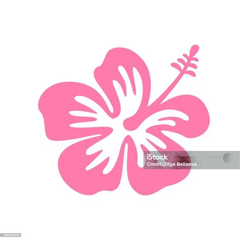 흰색 배경에 고립 된 열대 히비스커스 꽃의 벡터 그림 블루밍 히비스커스 벡터 실루엣 여름 분위기 그래픽 디자인 플로럴 클립아트 스페인에 대한 스톡 벡터 아트 및 기타 이미지