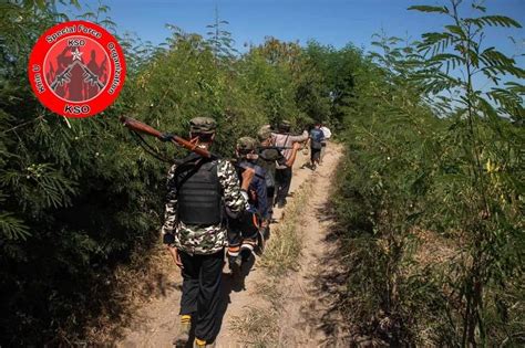 ခင်ဦးတွင် စစ်ကောင်စီတပ်ဖွဲ့ တပ်စွဲထားသော နေရာများကို တိုက်ခိုက်မှု ၅ ဦးသေဆုံး၊ ဒီပဲယင်းတွင် တိုက