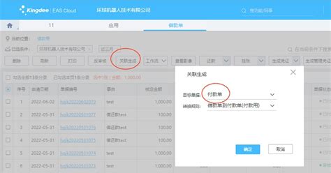 借款单付款 金蝶软件公司金蝶软件技术服务公司