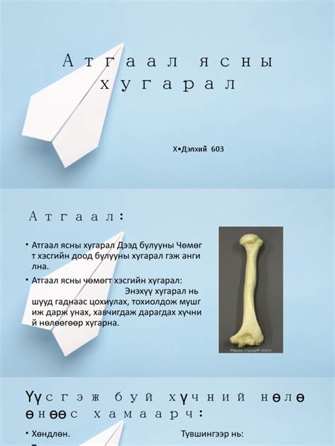 Атгаал ясны хугарал Pdf