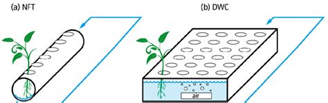 4 Illustration Of A Nutrient Flow Technique Nft And B Deep Water