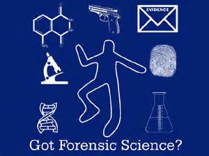 Add Visual Impact To Your Forensics Presentations With Customizable