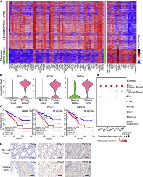 Single Cell Multiomics Sequencing Reveals Prevalent Genomic Alterations