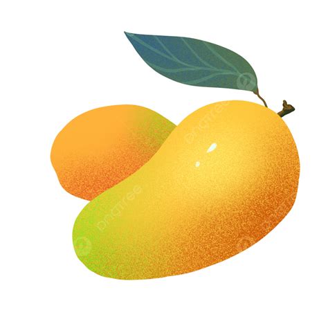 مانجو خريف نبات فاكهة Png وملف Psd للتحميل مجانا