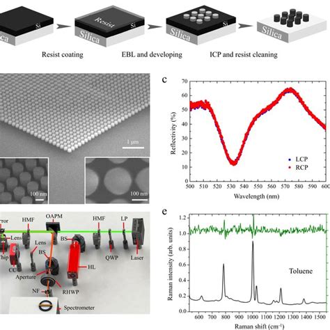 Principle Of Chiral Field Enhanced Roa Using The Silicon Nanodisk Download Scientific Diagram