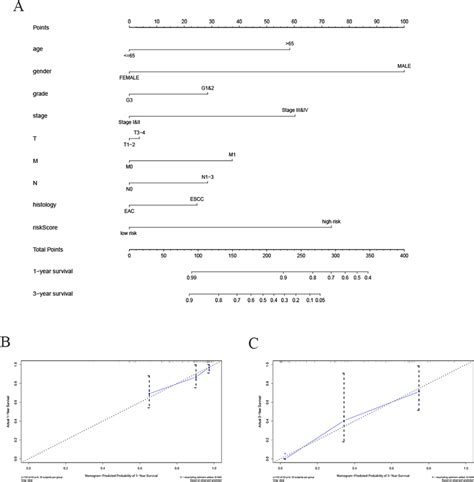 nomogram predicting overall survival for ec patients a for each