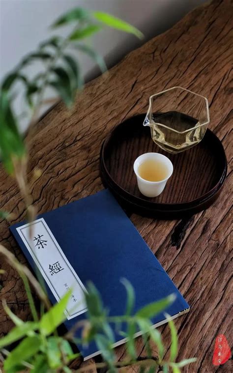 史上十大茶書 每日頭條