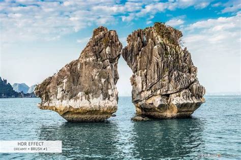 Automation Vs AI What S The Difference Knowledge And Science