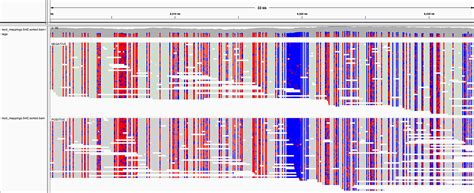 File Formats — Megalodon 2 3 3 Documentation
