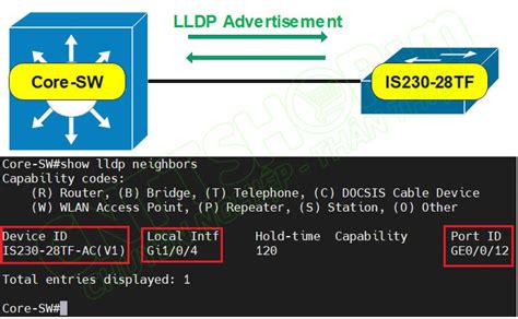 LLDP là gì Lợi ích trường hợp sử dụng và cách cấu hình LLDP