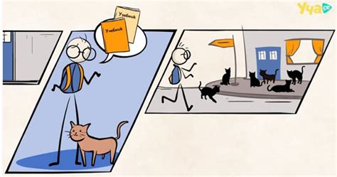 Котките са новата тема във видео на Световния ден на бездомните животни Видео