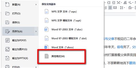 怎么把word转成txt 新知