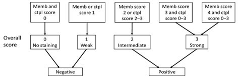Classification Of Sstr Overall Score As Positive Or Negative Based On