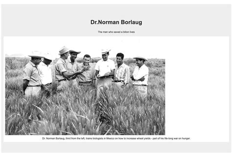 Tribute Page Build A Tribute Page Html Css The Freecodecamp Forum