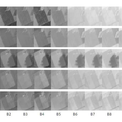 Example Of A Sentinel 2 Image For A Barley Field In Ontario Canada